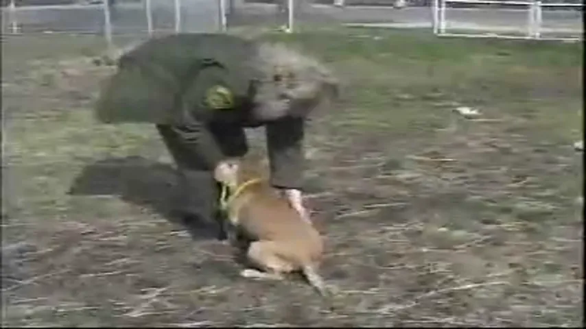 Animal Control Workers Career Video